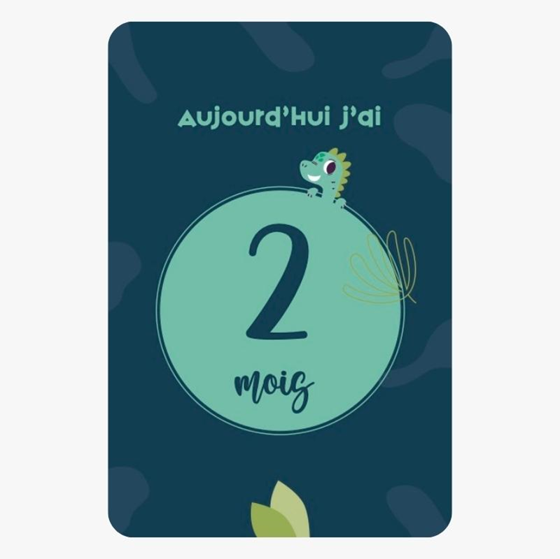 tous les produits naissance cartes étapes cartes étapes rawr cartes ...